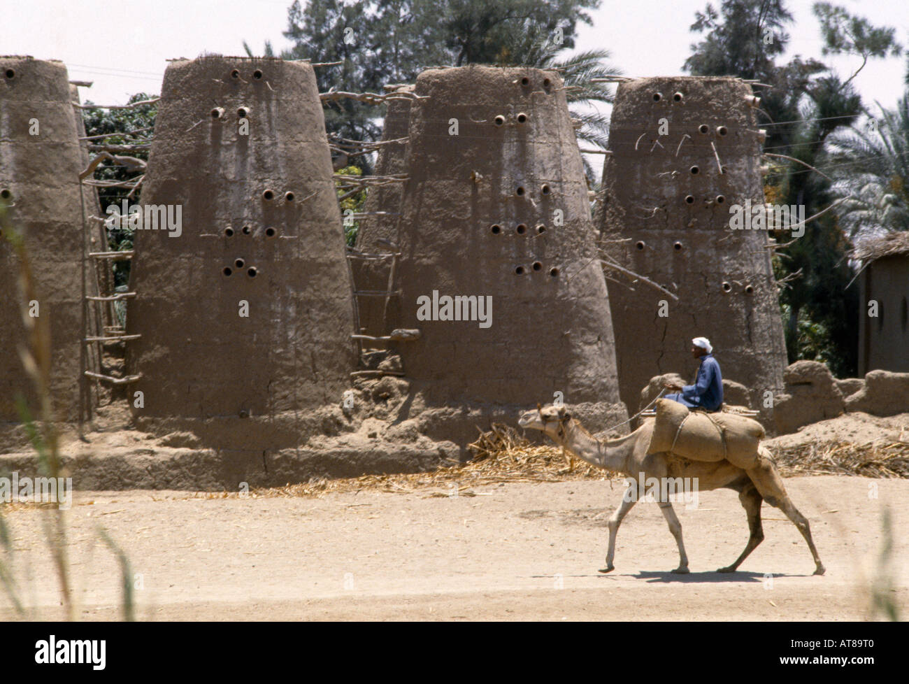 Delta egypt hi-res stock photography and images - Alamy