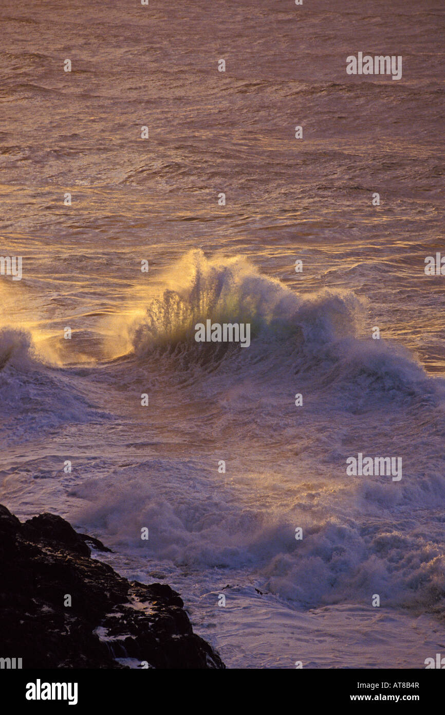 Glorious sunlit breaking wave with impressionistic soft rose, aqua and ...