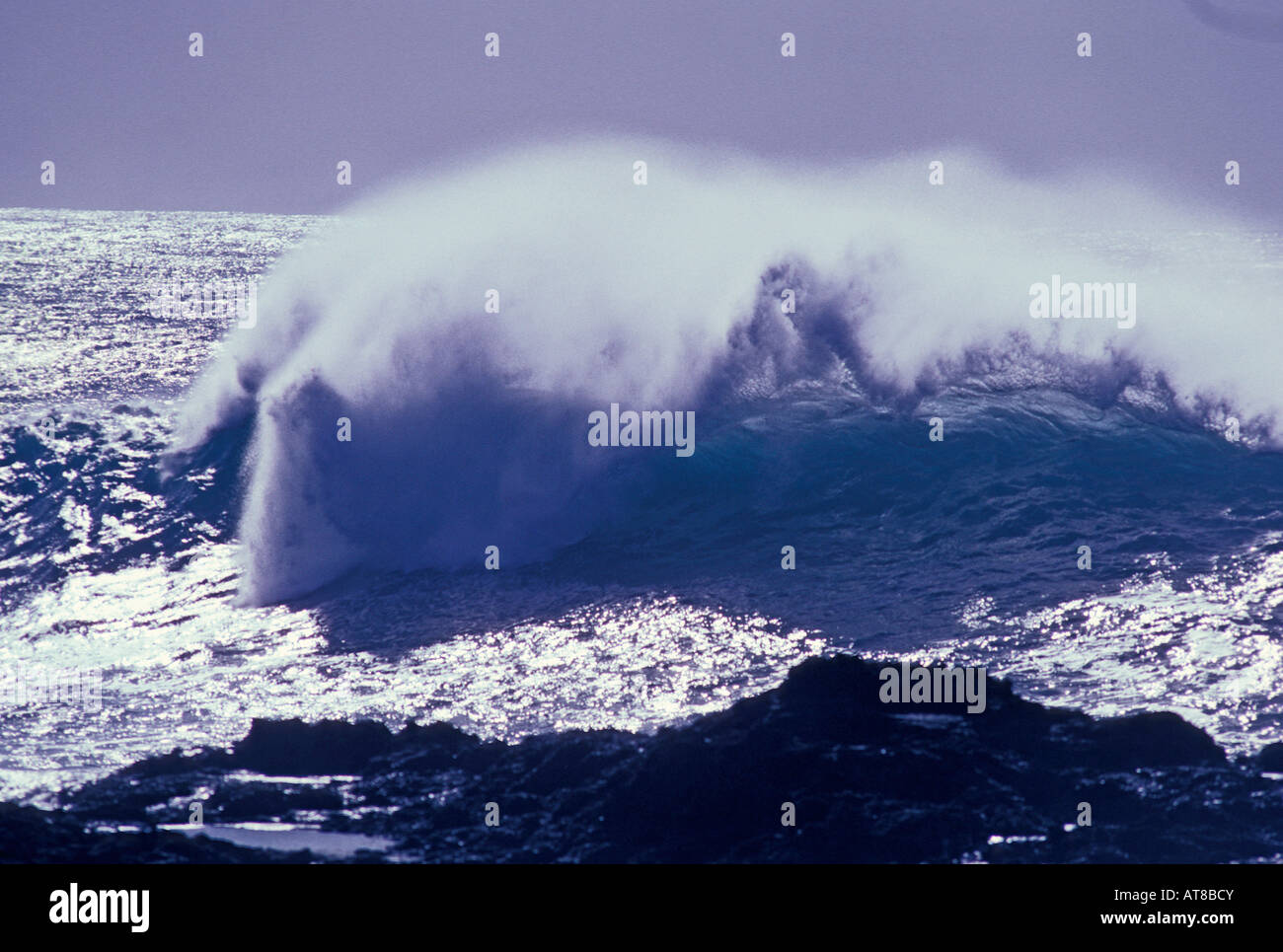 Gigantic wave gets ready to pound black coral reef. Powerful motion of ...