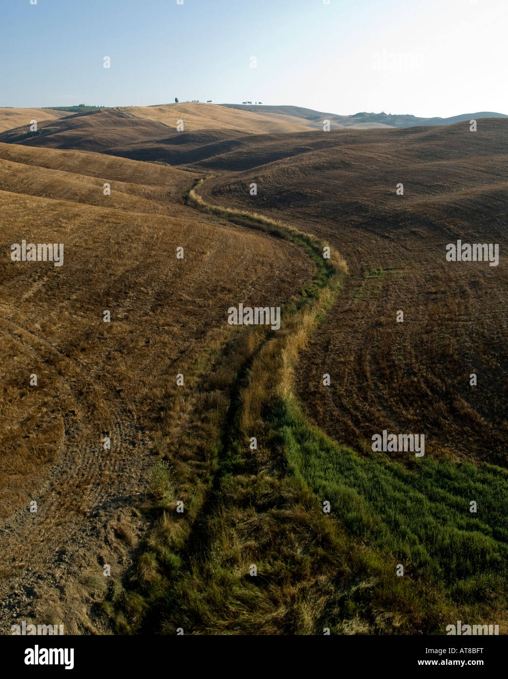 Valley Through Wheat Fields, Tuscany Stock Photo - Alamy
