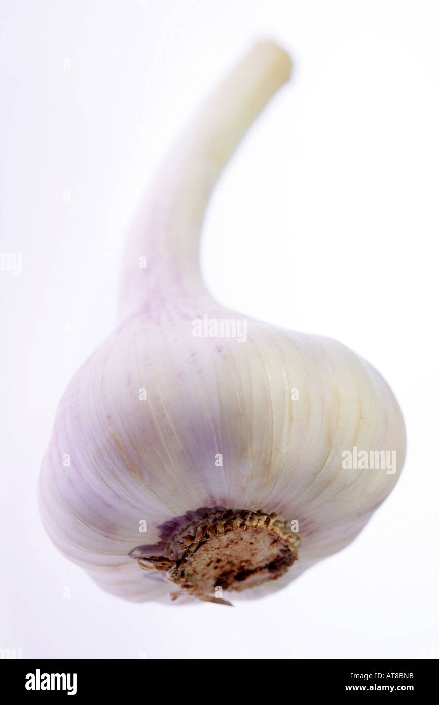 DEU, Germany : Garlic Stock Photo - Alamy