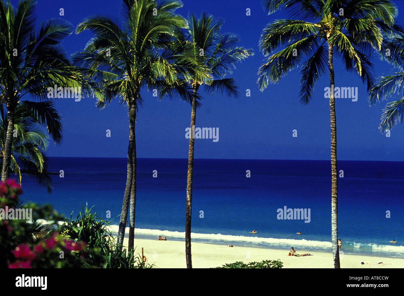 gorgeous day Hapuna Beach on Big Island of Hawaii, with brilliant blue ...
