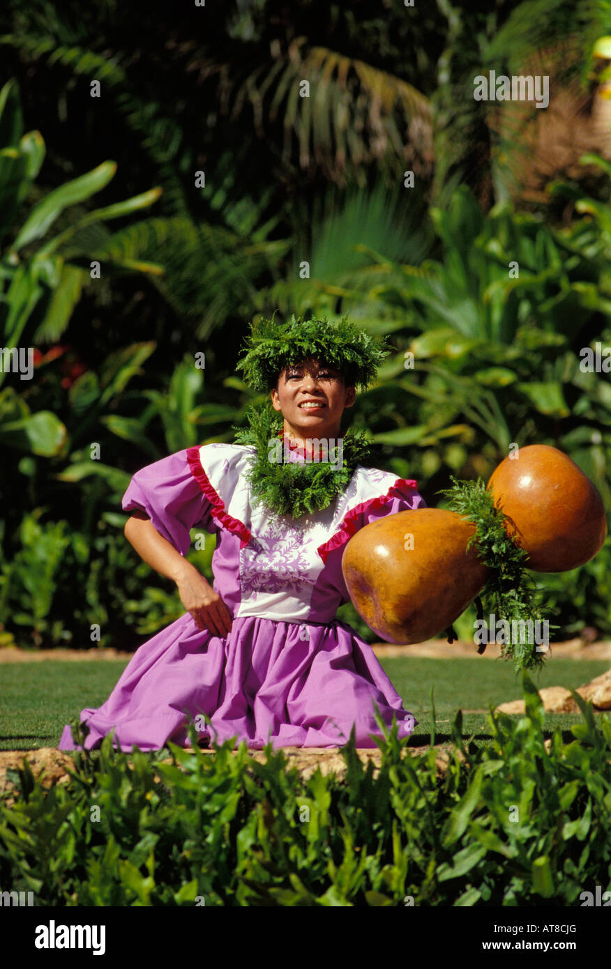 Beautiful hula dancer wearing traditional dress chants with her ipu ...