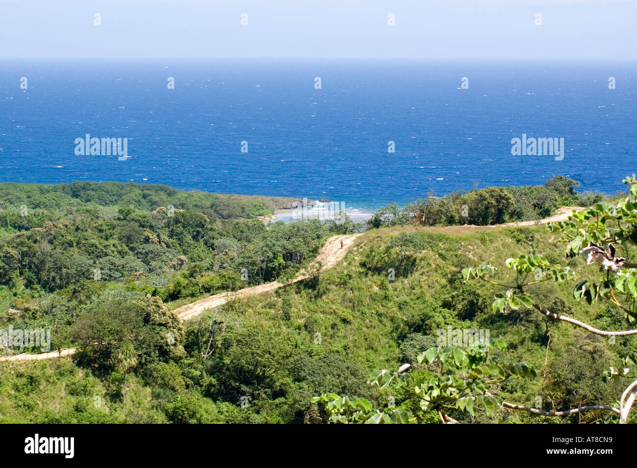 Road to blue sea Roatan Honduras Central America Western Caribbean ...