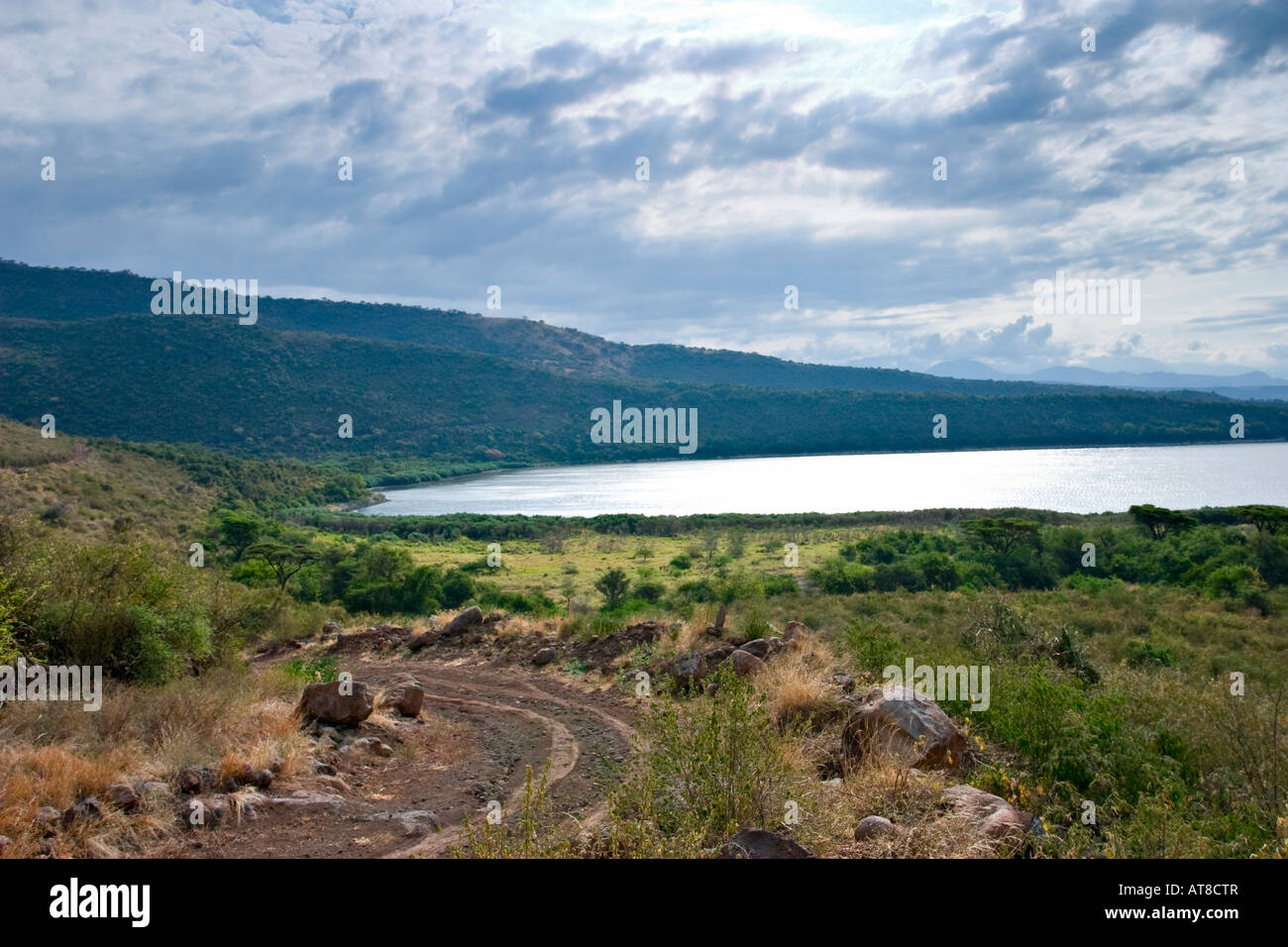 View of Lake Chamo from Nechisar National Park, Ethiopia, Africa Stock ...