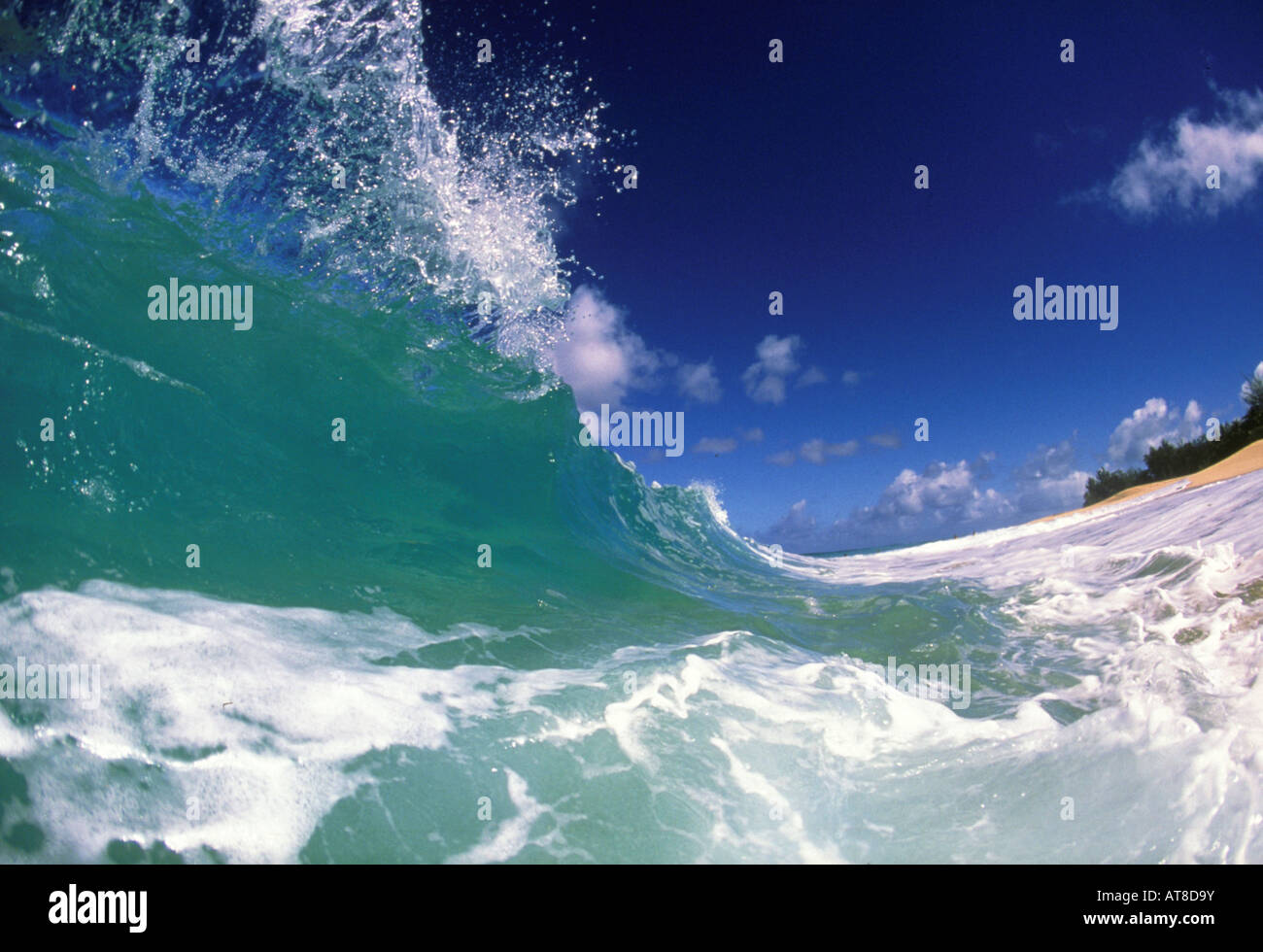 Ke'iki beach, O'ahu Stock Photo - Alamy