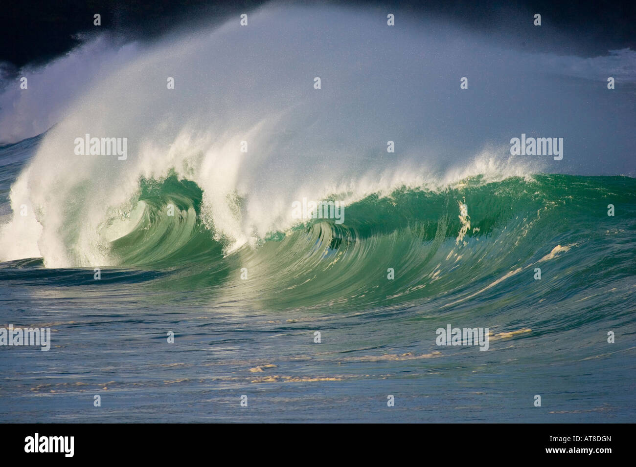 Beautiful empty wave at the Waimea Bay shore break on the North Shore ...