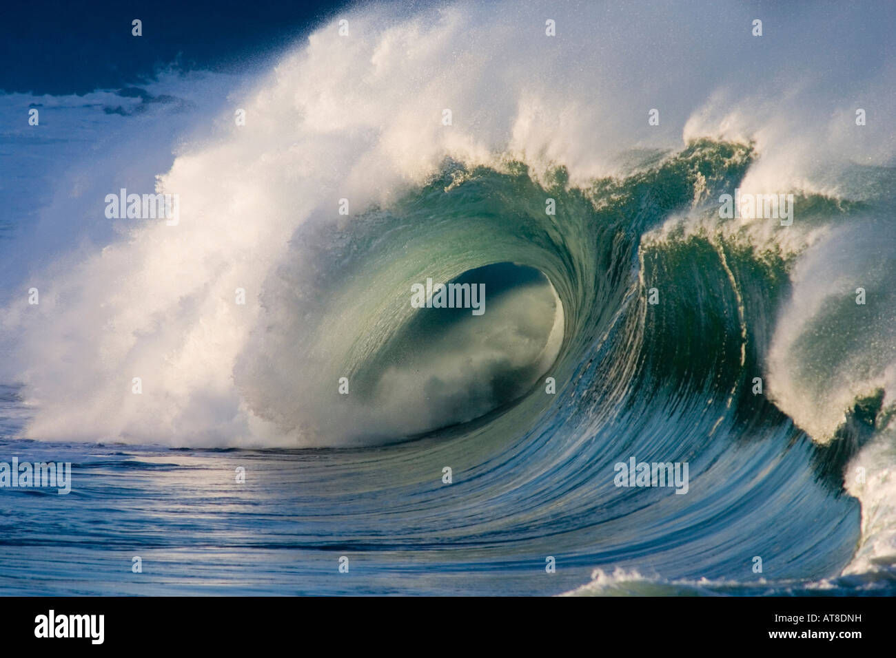 Perfect beautiful wave at the Waimea bay shorebreak during the winter ...