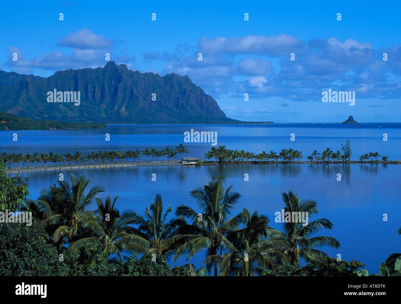 Heeia fishpond hi-res stock photography and images - Alamy