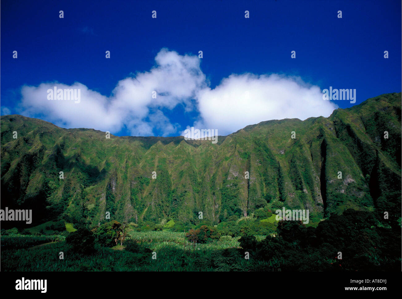 Koolau Stock Photos & Koolau Stock Images - Alamy