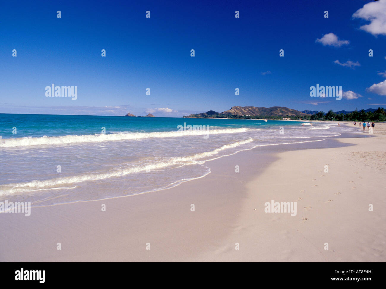 Beautiful Kailua Beach, windward Oahu Stock Photo - Alamy