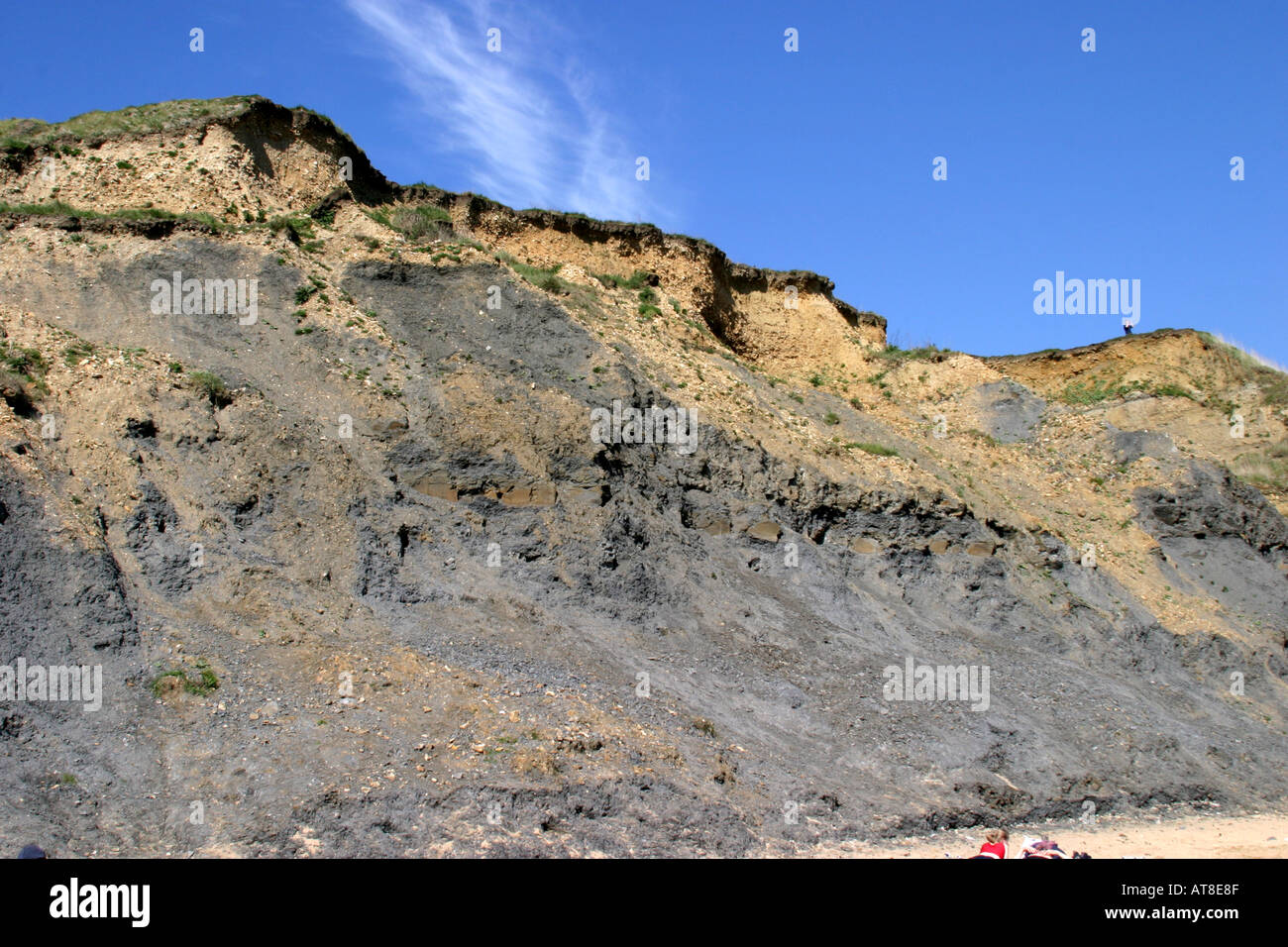 Dangerous cliffs at Charmouth in Dorset. The cliffs have suffered many ...
