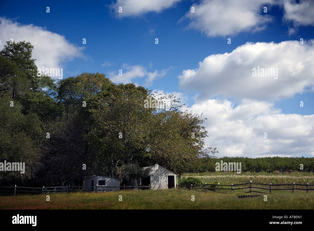 Buildings at a farm Stock Photo - Alamy