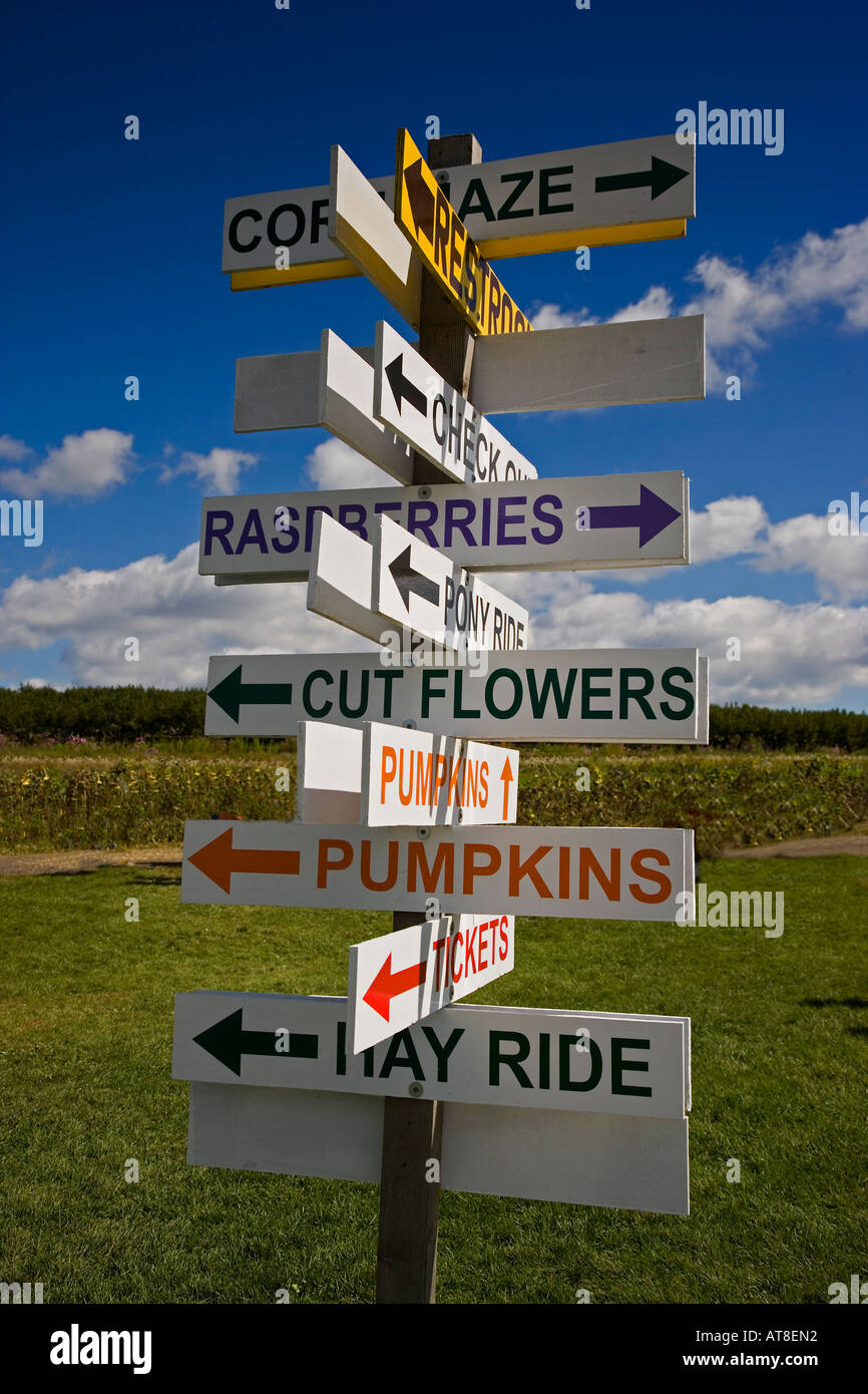 Signs showing directions Stock Photo - Alamy
