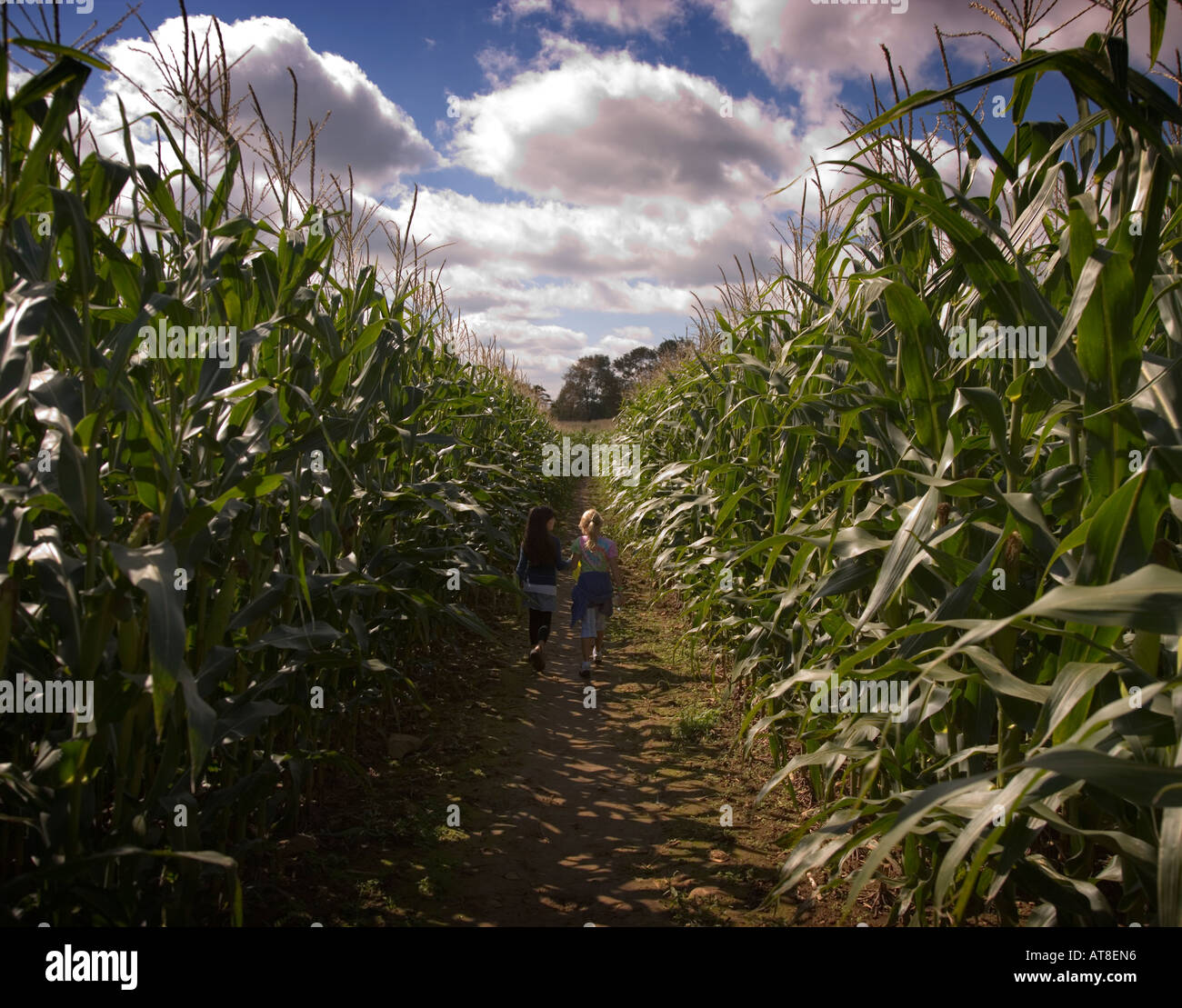 Corn stalk children hi-res stock photography and images - Alamy