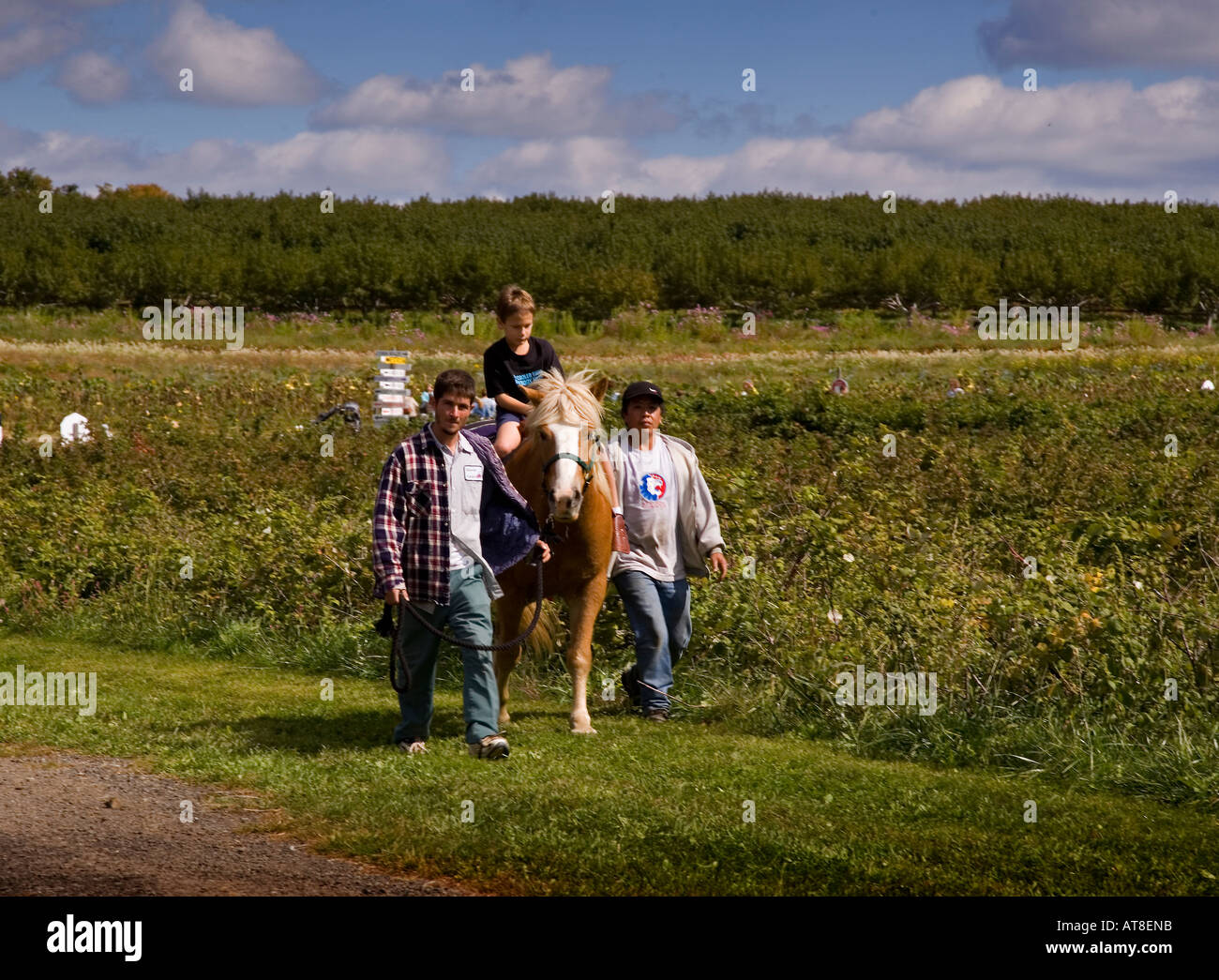 Young boy getting a pony ride Stock Photo - Alamy