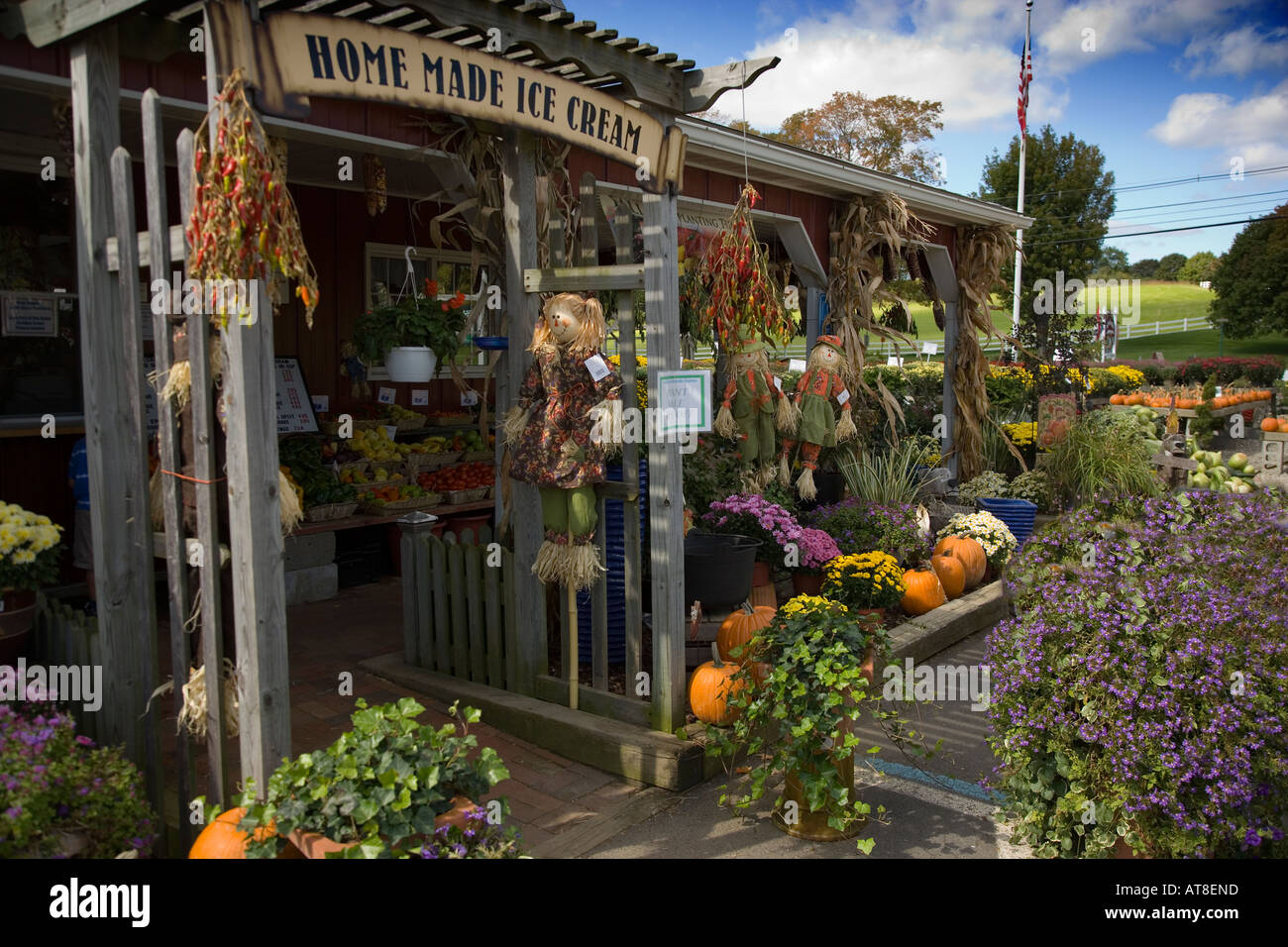 Farmstand selling fall flowers Stock Photo - Alamy