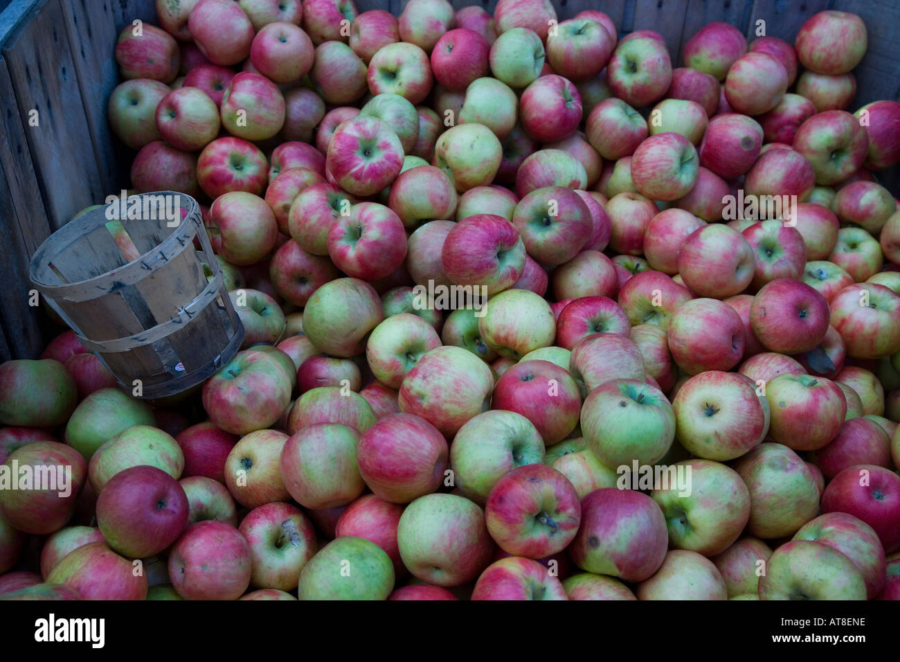 Apples for sale at an outdoor market Stock Photo - Alamy