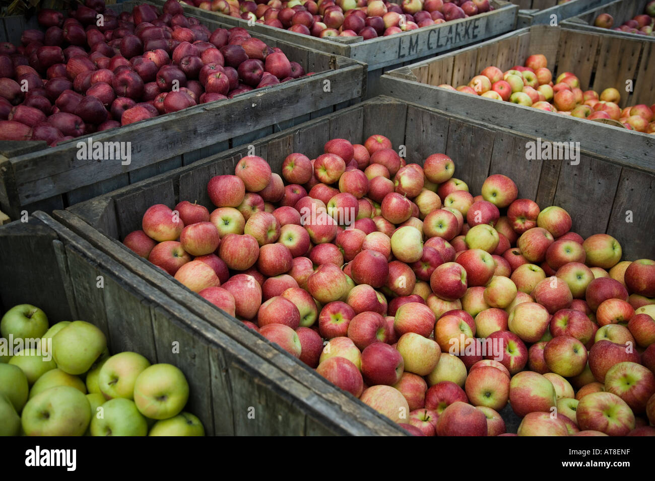 Apples for sale at an outdoor market Stock Photo - Alamy