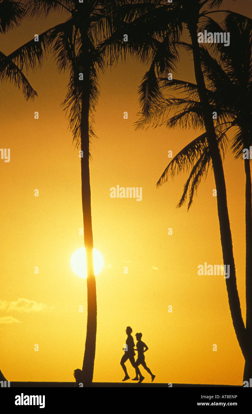 Palm trees running hi-res stock photography and images - Alamy