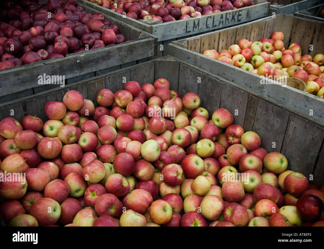 Apples for sale at an outdoor market Stock Photo - Alamy