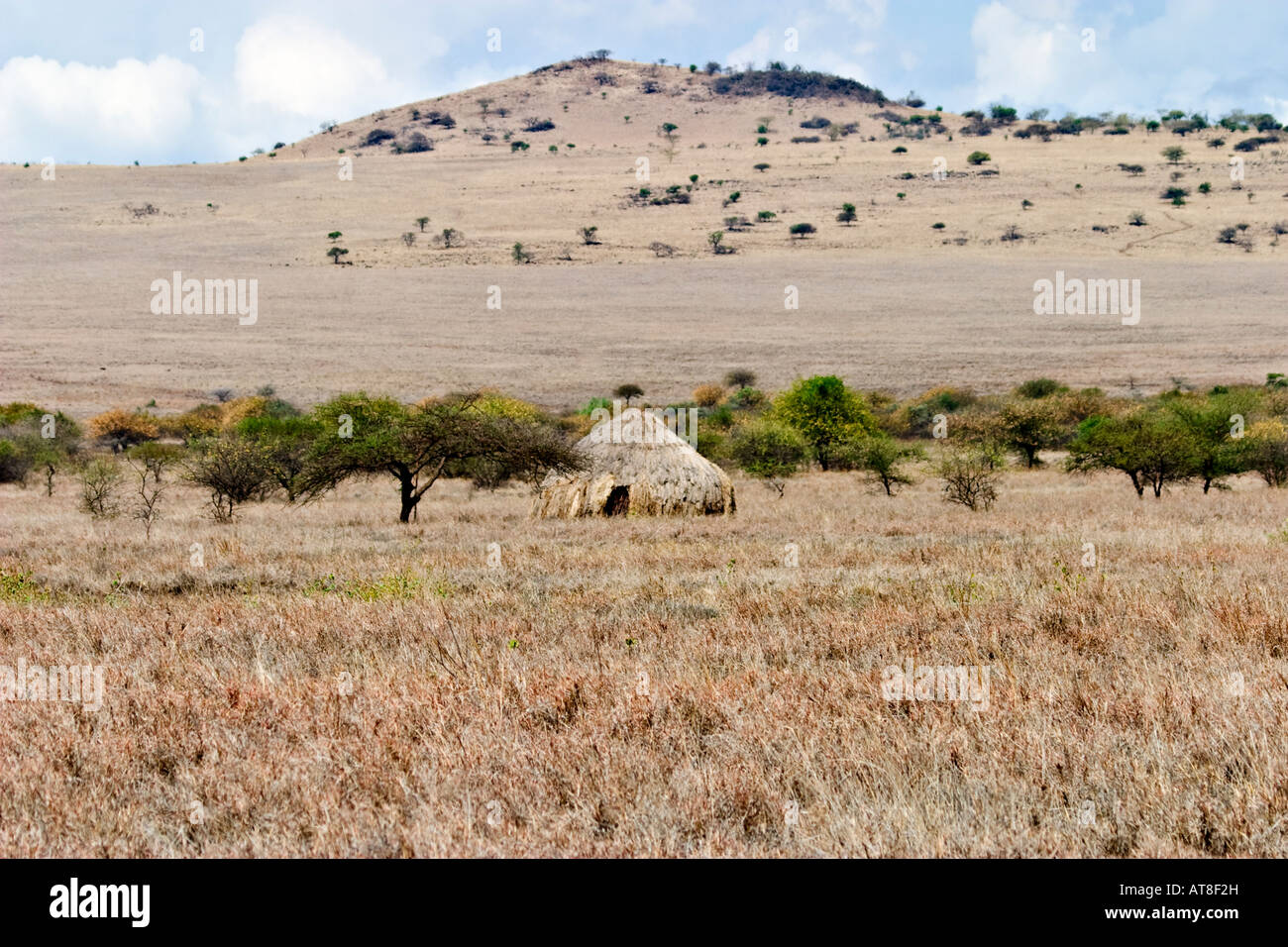 Nechisar National Park, Arba Minch, Ethiopia, Africa Stock Photo - Alamy