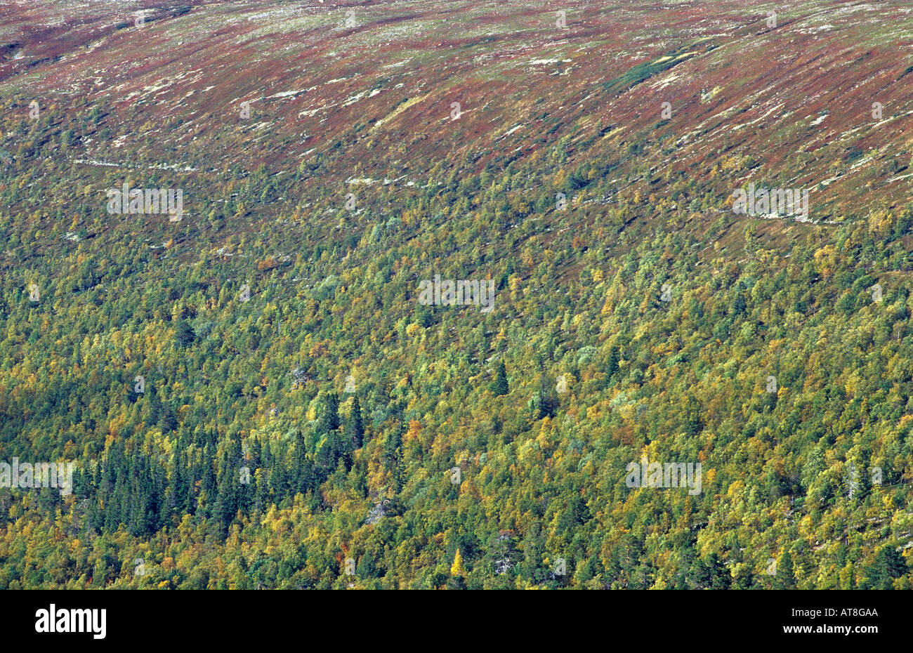 Norway sweden autumn colors hi-res stock photography and images - Alamy
