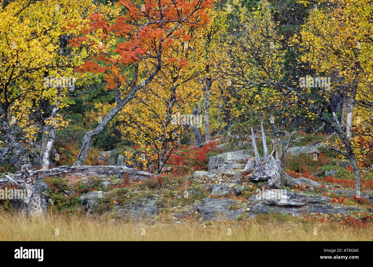 Norway colors hi-res stock photography and images - Alamy