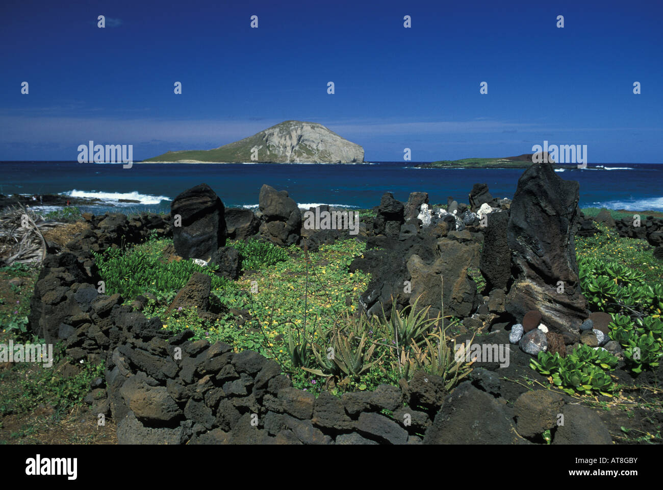 Modern Heiau (Hawaiian temple) built at Makapuu point with rabbit ...