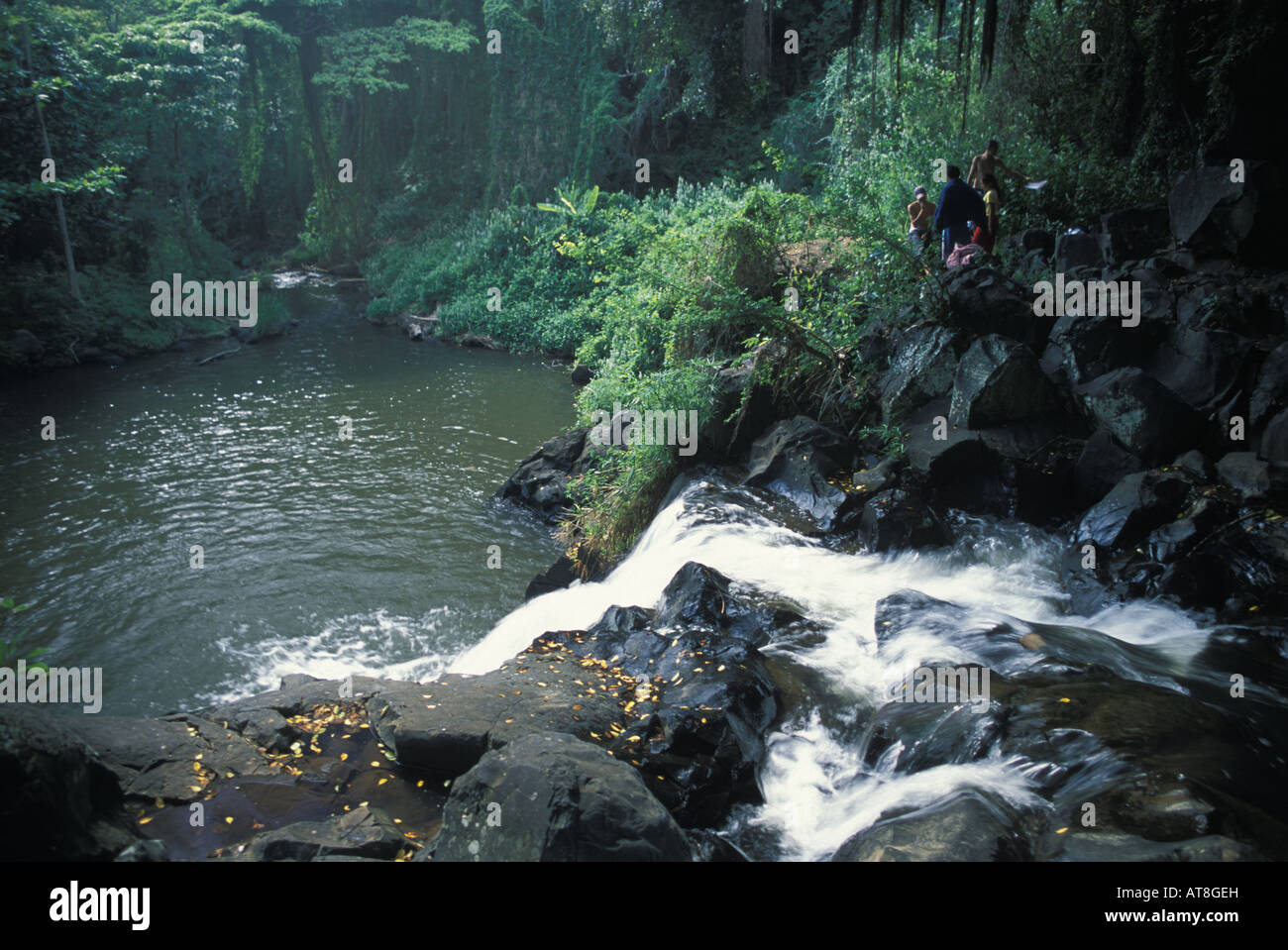 Kapena falls, Nuuanu valley, Island of Oahu Stock Photo - Alamy