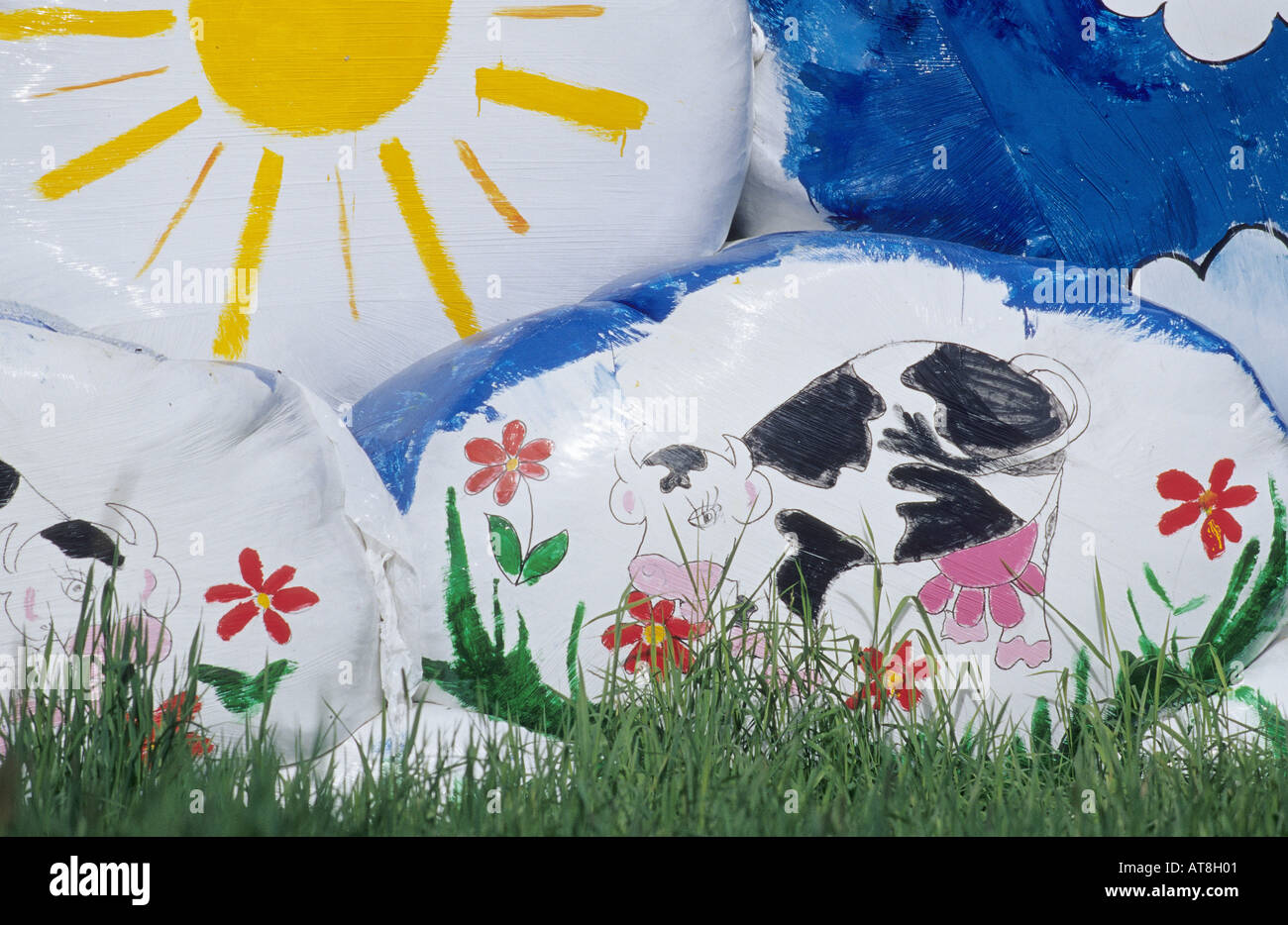 Hay silage wrapped in white plastic . Norway Stock Photo - Alamy