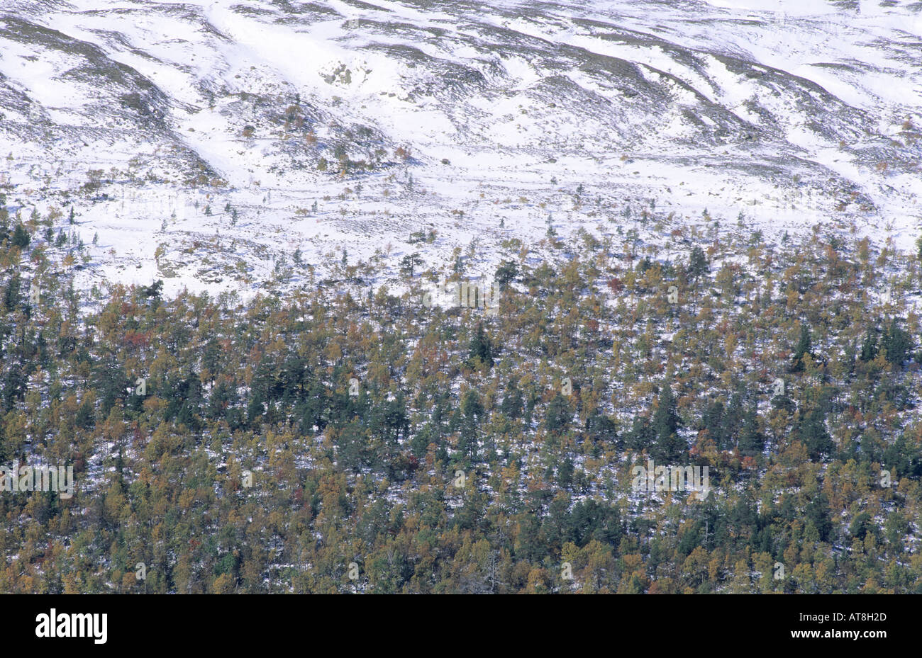 First snow on the mountain Stock Photo - Alamy