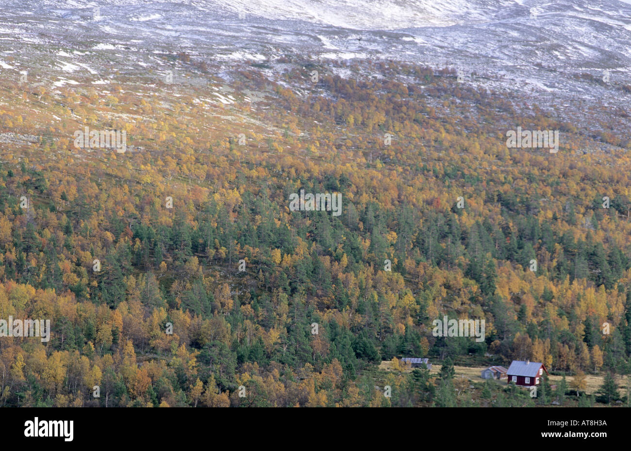 Norwegian hills hi-res stock photography and images - Alamy