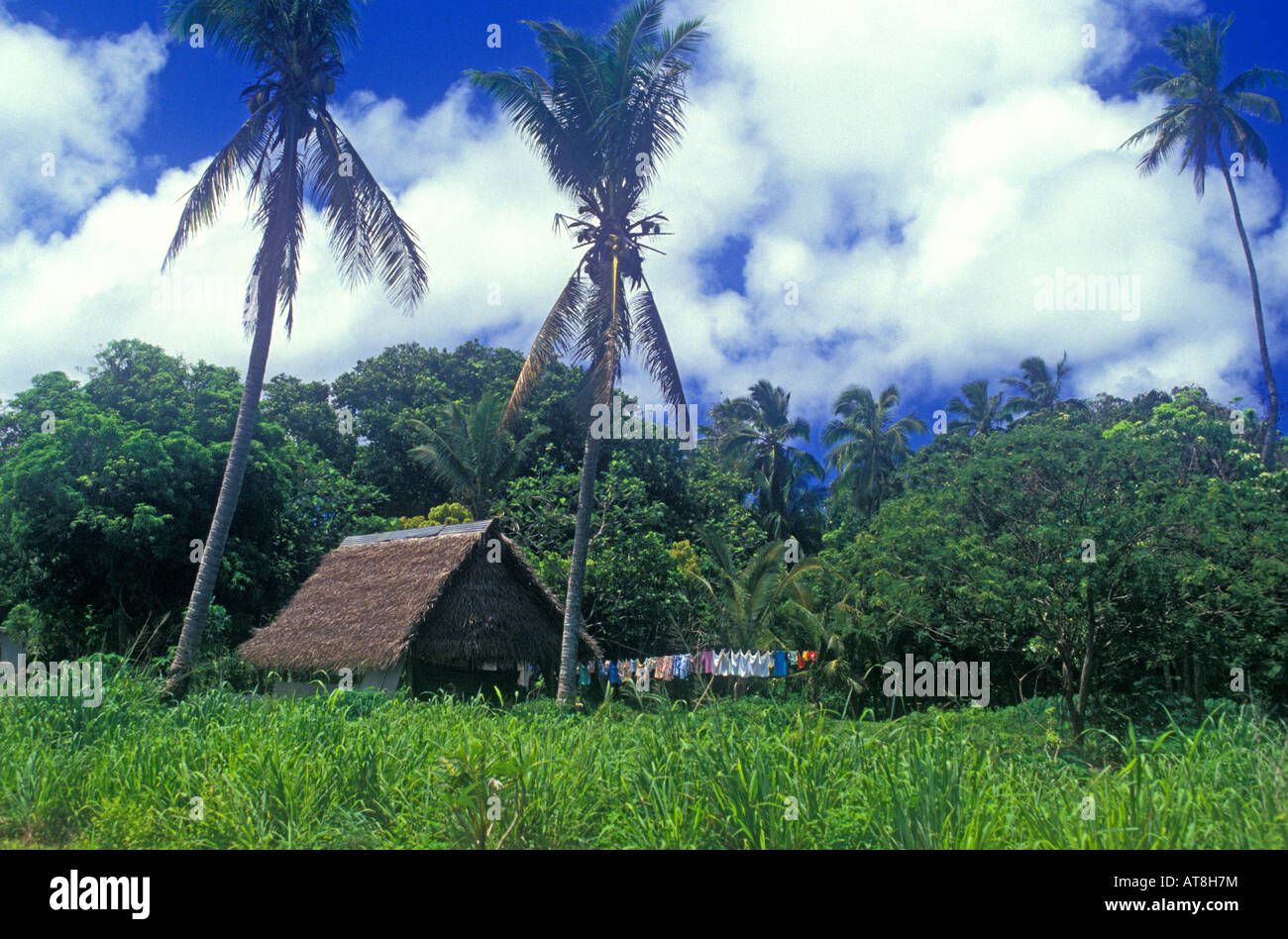 View of a local thatched house with a closeline on Aitutaki, Cook ...