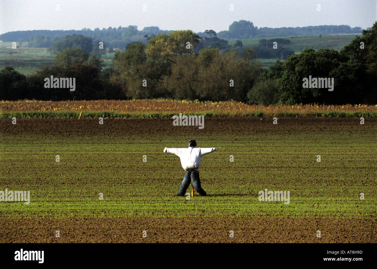 Guarding crops hi-res stock photography and images - Alamy