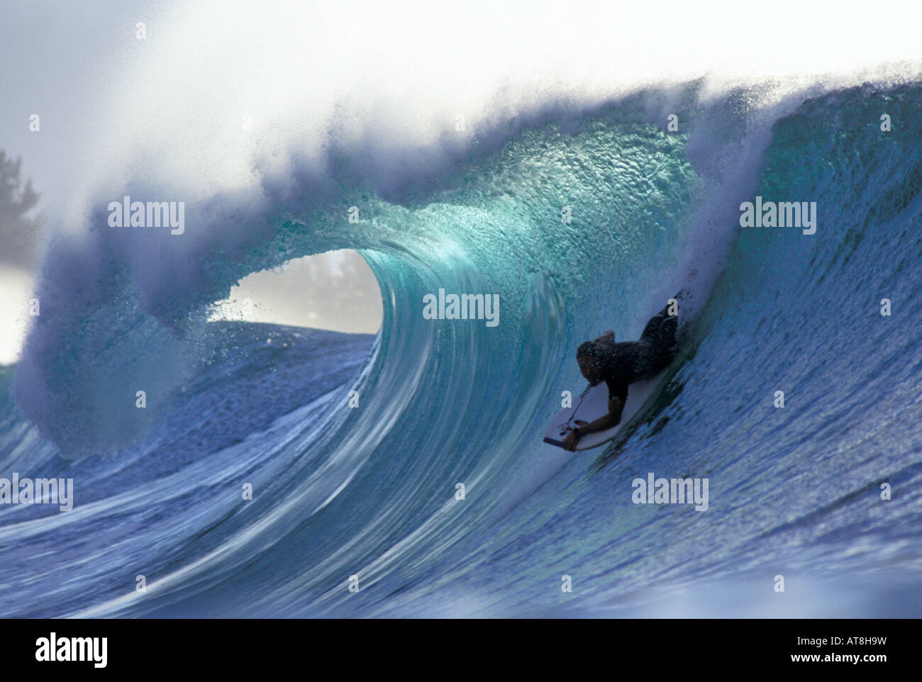 Man bodyboarding down a large wave on Oahu's north shore Stock Photo ...