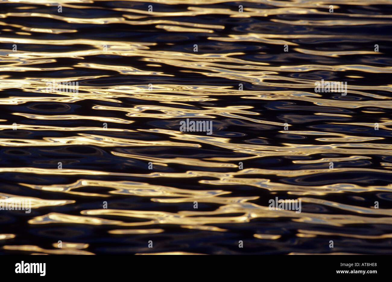 Ripples the water hi-res stock photography and images - Alamy