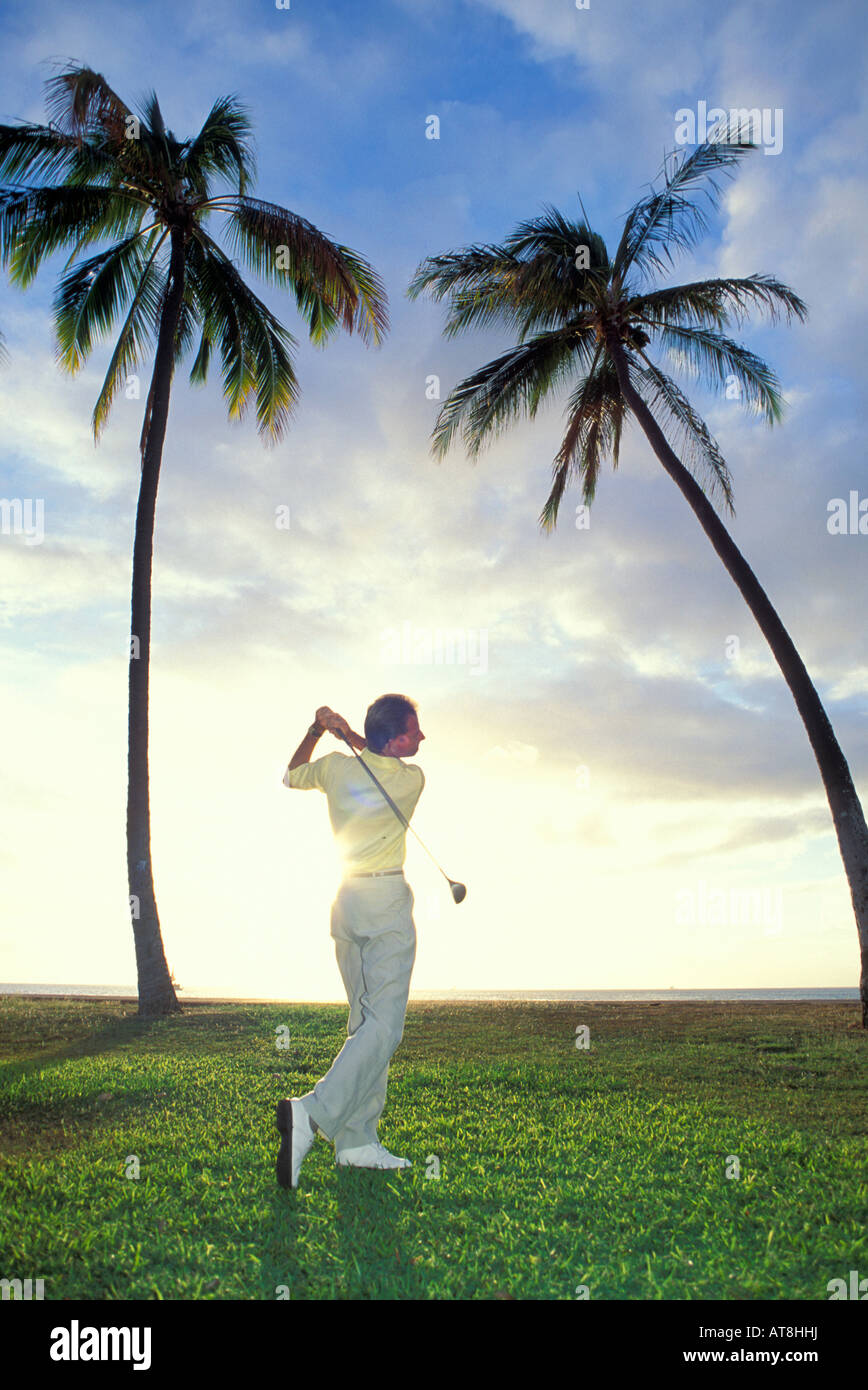 Man playing golf at sunset with palm trees Stock Photo - Alamy