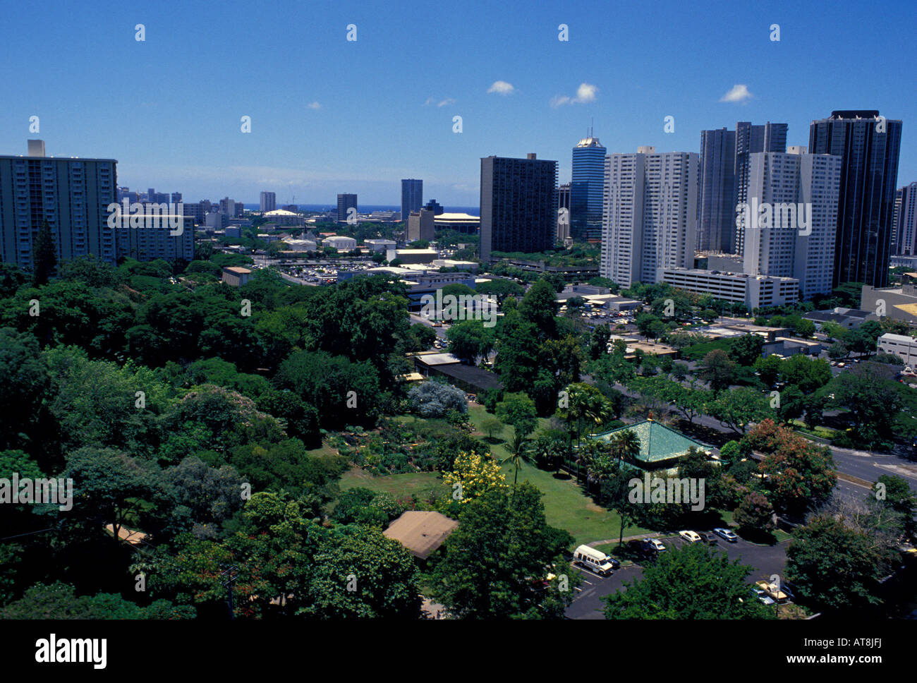 Foster Botanical Gardens in downtown Honolulu with corporate ...