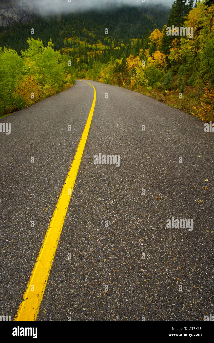Yellow line down the middle of the back hi-res stock photography and ...