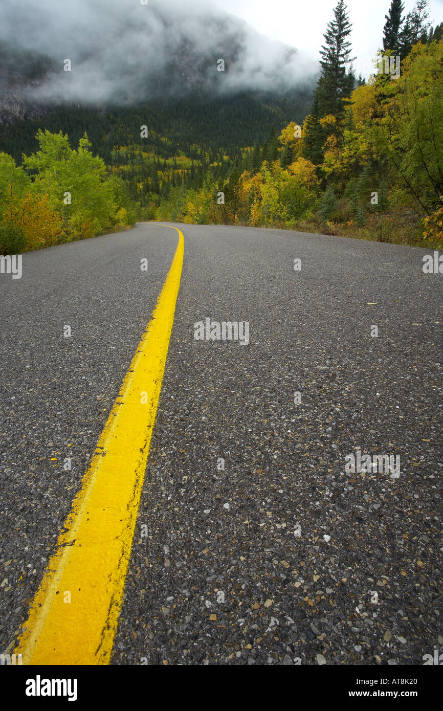 Yellow line down the middle of the back hi-res stock photography and ...