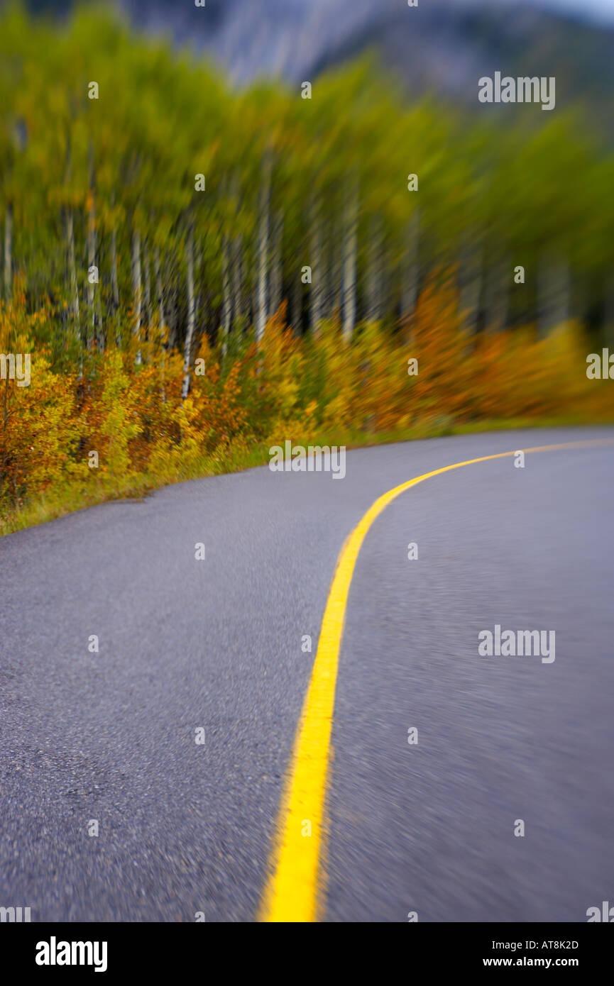 Yellow line down the middle of the back hi-res stock photography and ...