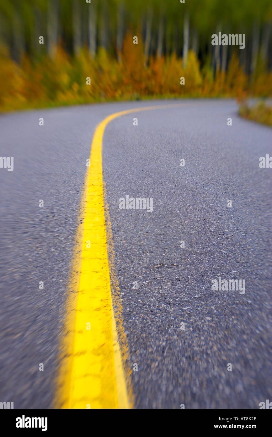 Yellow line down the middle of the back hi-res stock photography and ...