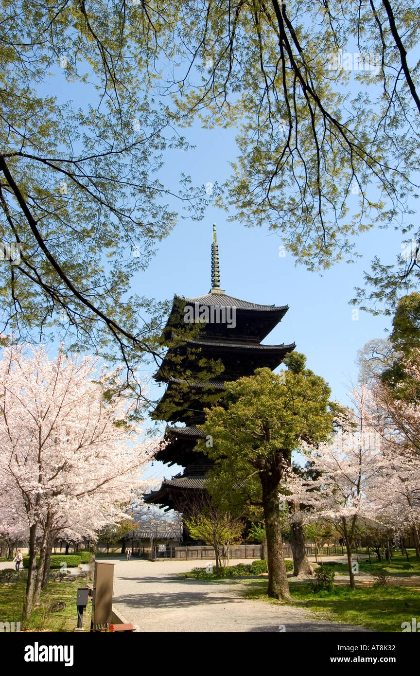 Toji pagoda spring cherry blossom Kyoto city Honshu island Japan Stock ...