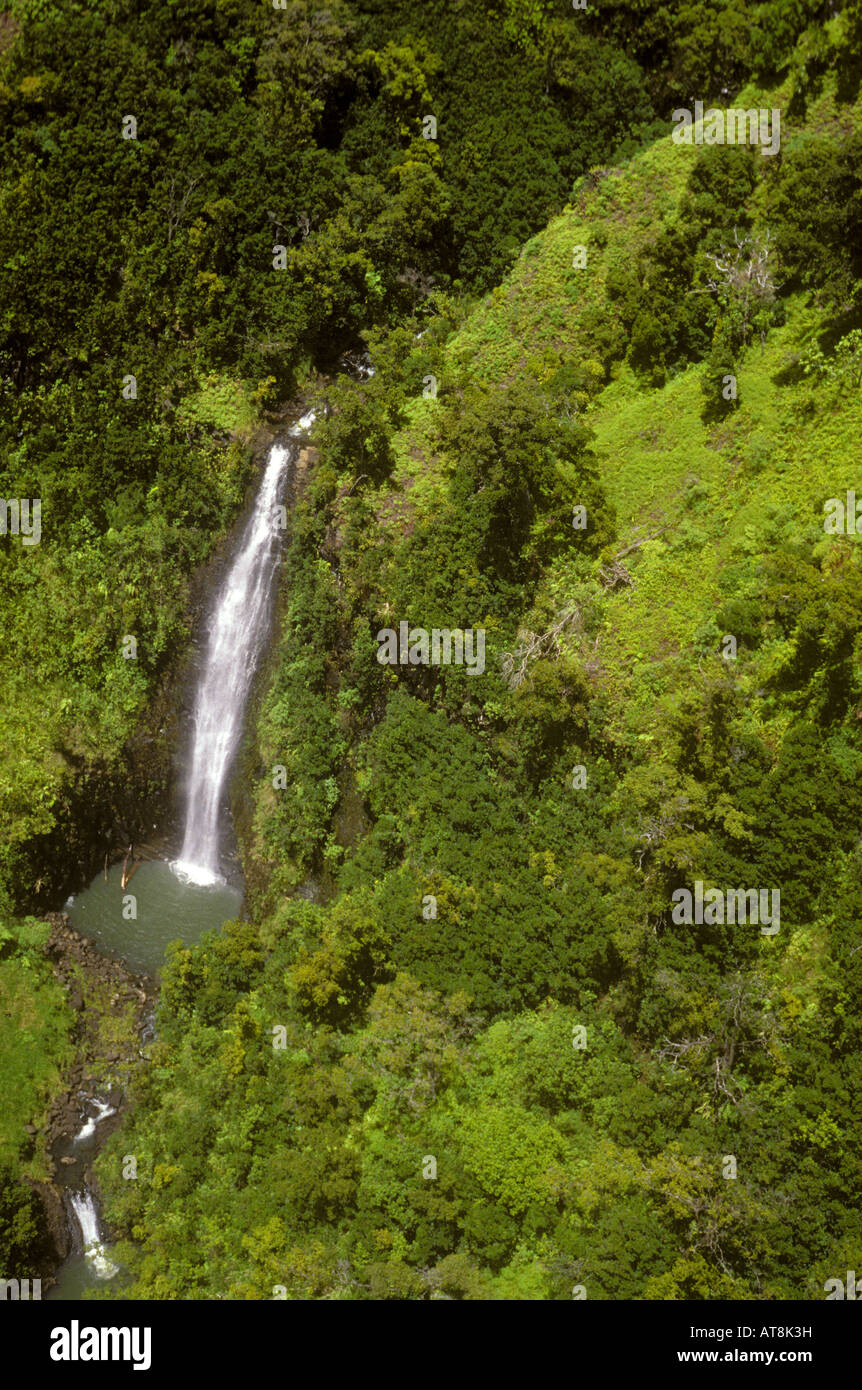 aerial Kauai waterfall Waimea Valley headwaters drain Alakai Swamp ...