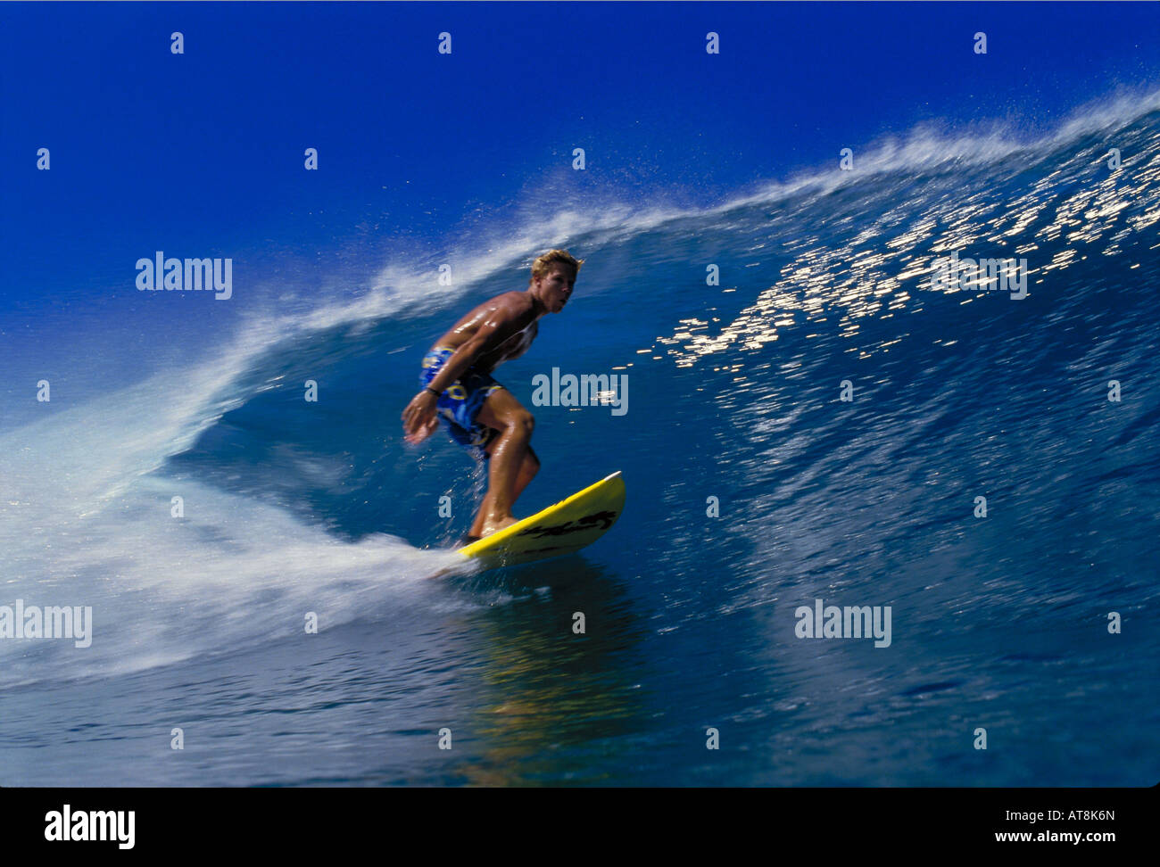 A surfer rides a beautiful blue wave at Pupukea beach, North shore Oahu ...