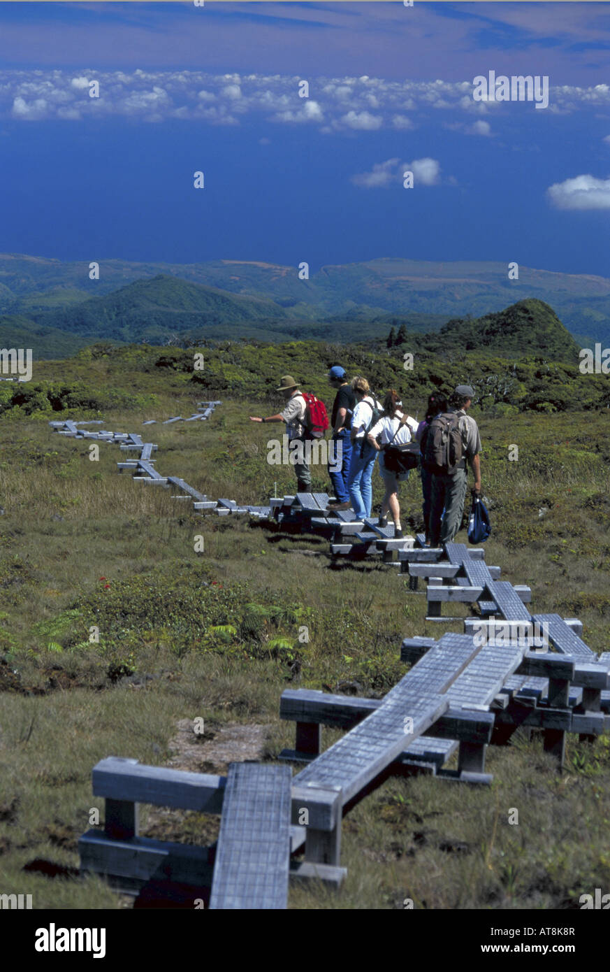 Hiking Puu Kukui (candlenut hill) trail, part of the West Maui ...