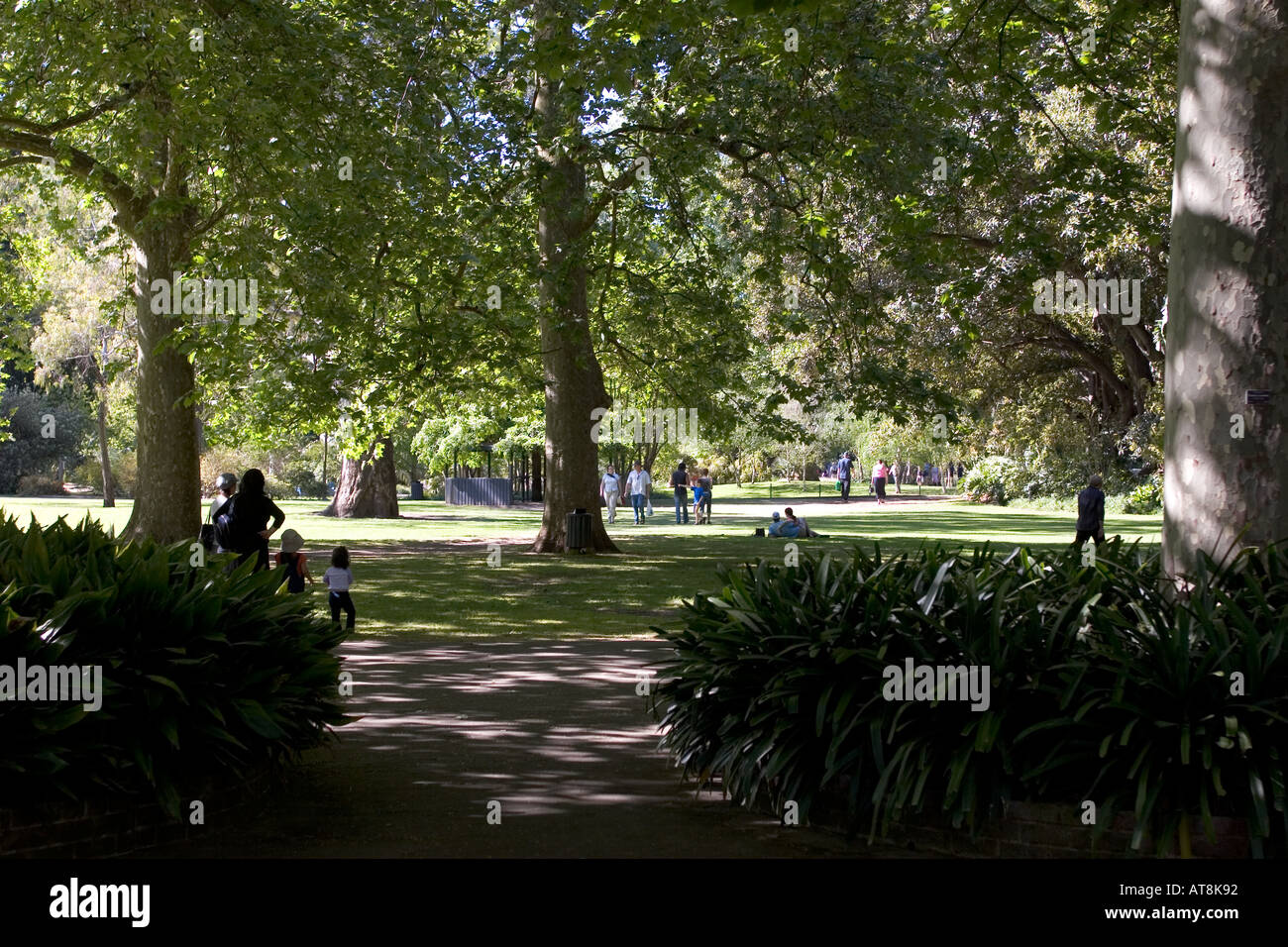 Adelaide garden centre hi-res stock photography and images - Alamy