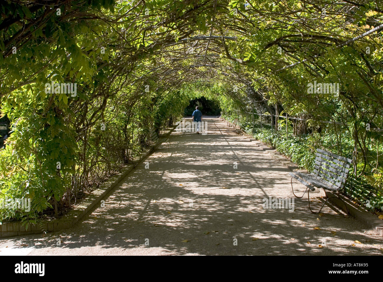 Botanic Gardens Adelaide Australia Stock Photo - Alamy
