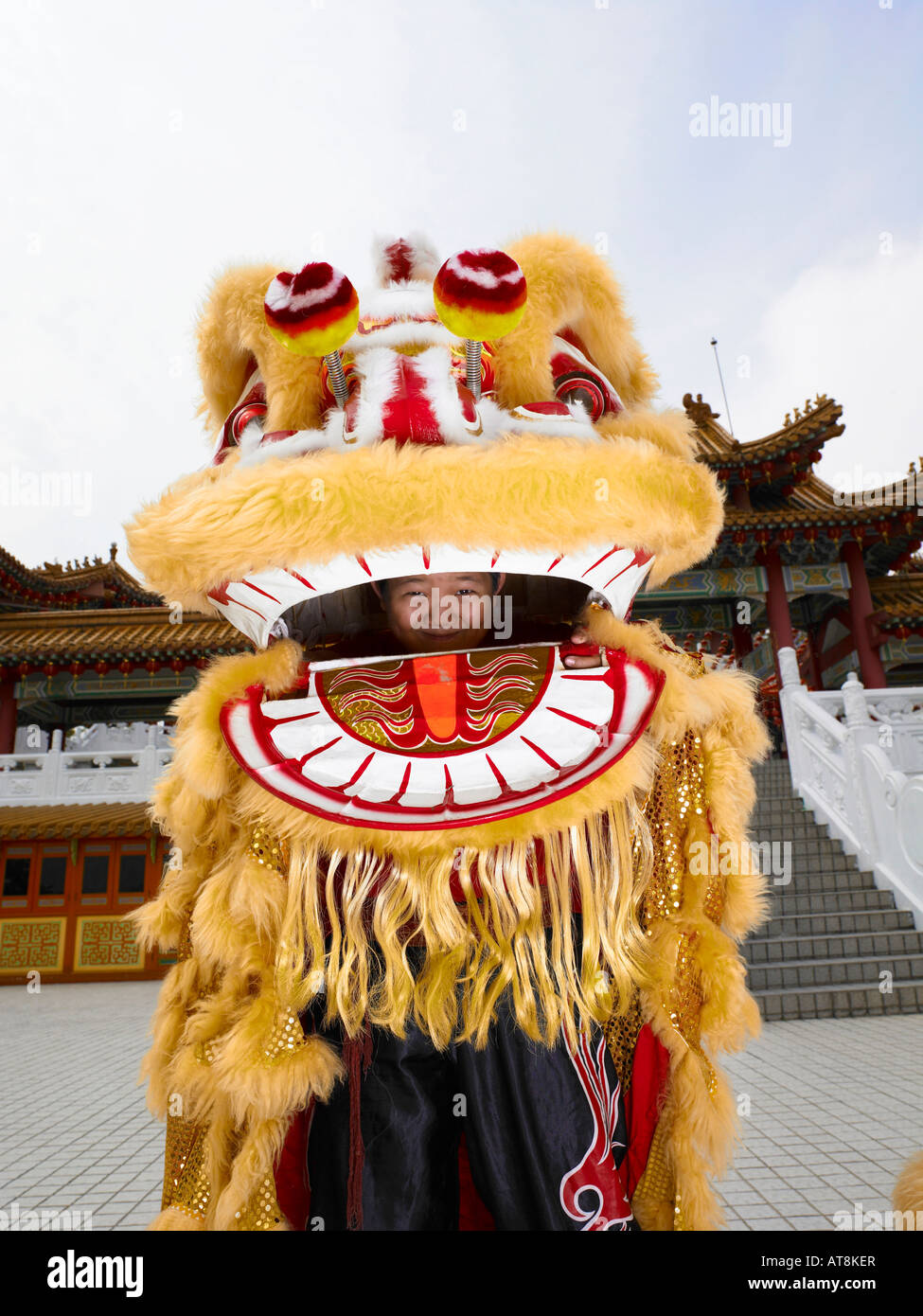 front view of lion dance performer with lion costume Stock Photo - Alamy